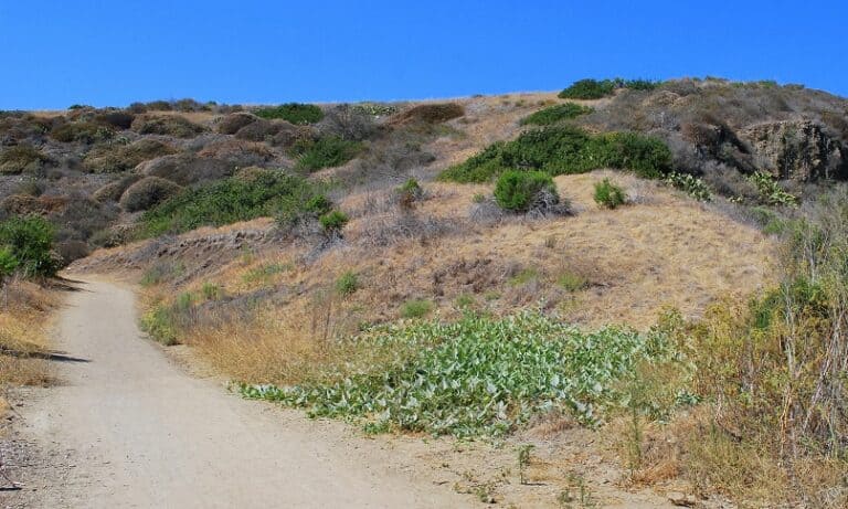 Orange County Mountain Bike Trails - Cyclist Review